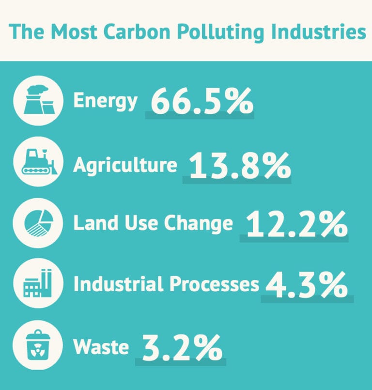 The Fast Fashion Environmental Impact | All You Need to Know