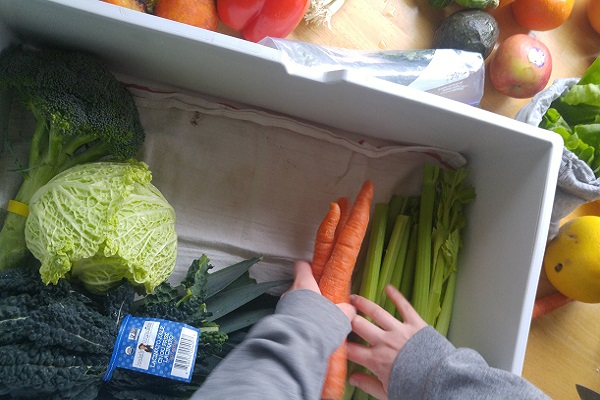 The Water Footprint of Food: How does Our Diet Affect Water Resources?